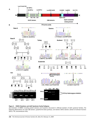 CNNM4(2009) | PDF | Eye and Vision Conditions | Diseases and Conditions
