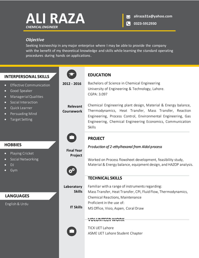 Ali Raza's CV | DOCX