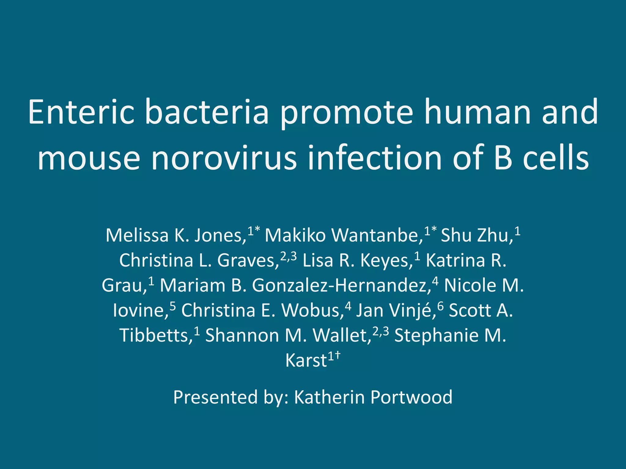 Enteric bacteria promote human and mouse norovirus infection | PPT