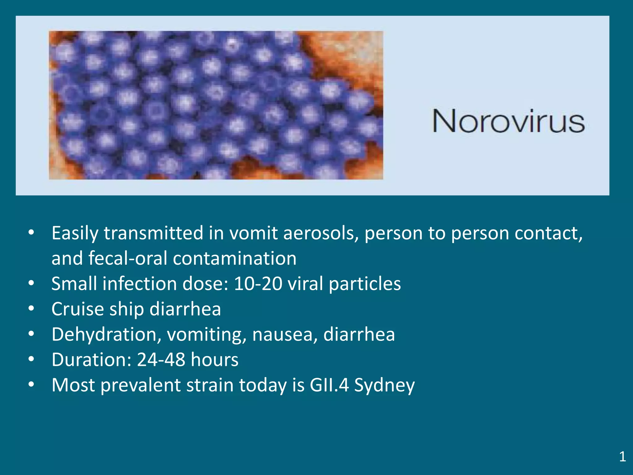 Enteric bacteria promote human and mouse norovirus infection | PPT