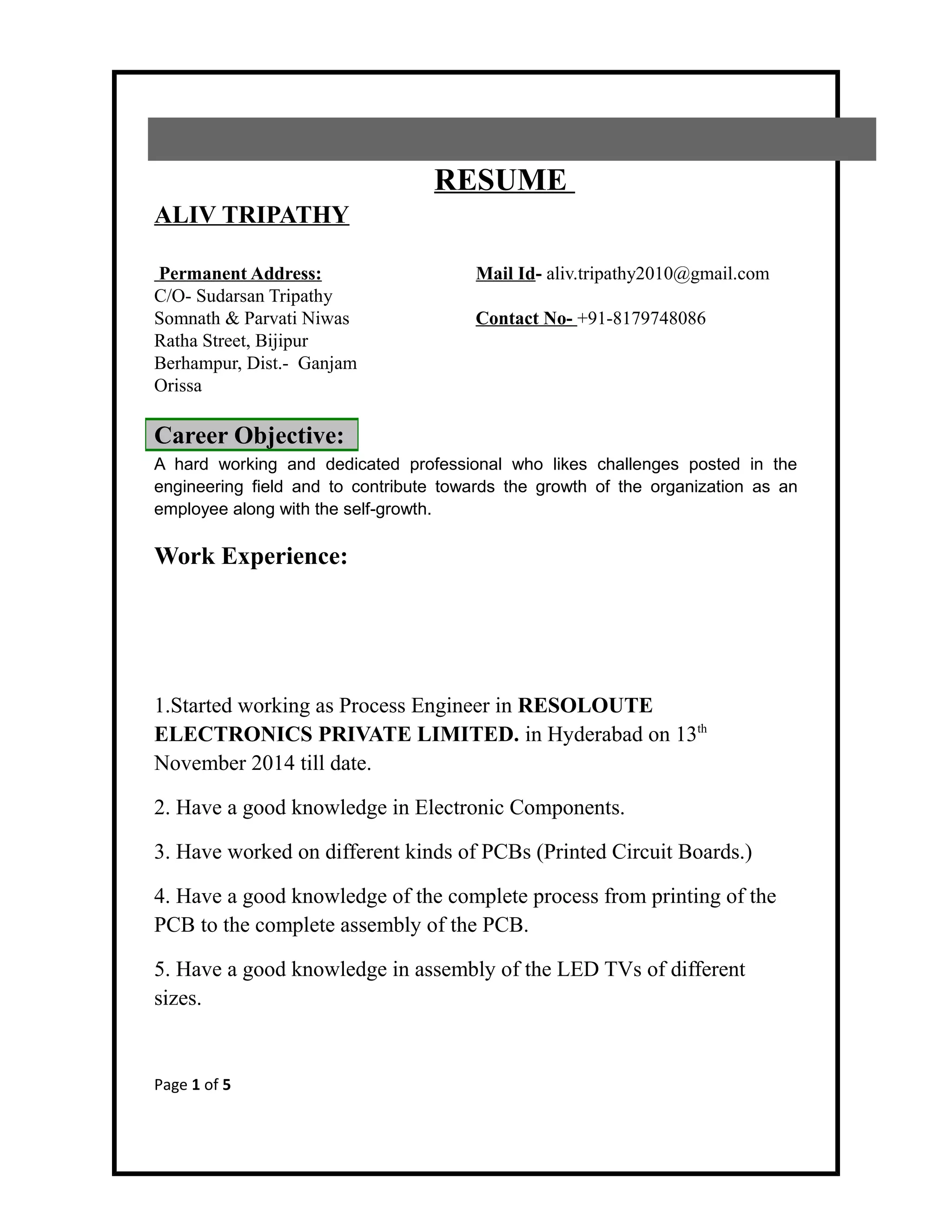 Aliv New Resume | RTF