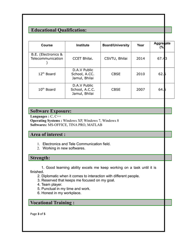 Aliv New Resume | RTF