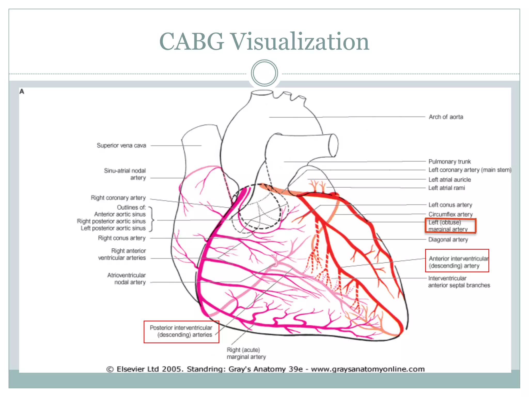 Cardiopulmonary Case Study | PDF