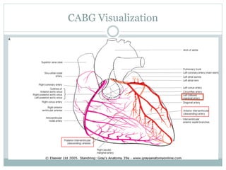 Cardiopulmonary Case Study | PDF