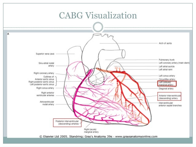 Cardiopulmonary Case Study