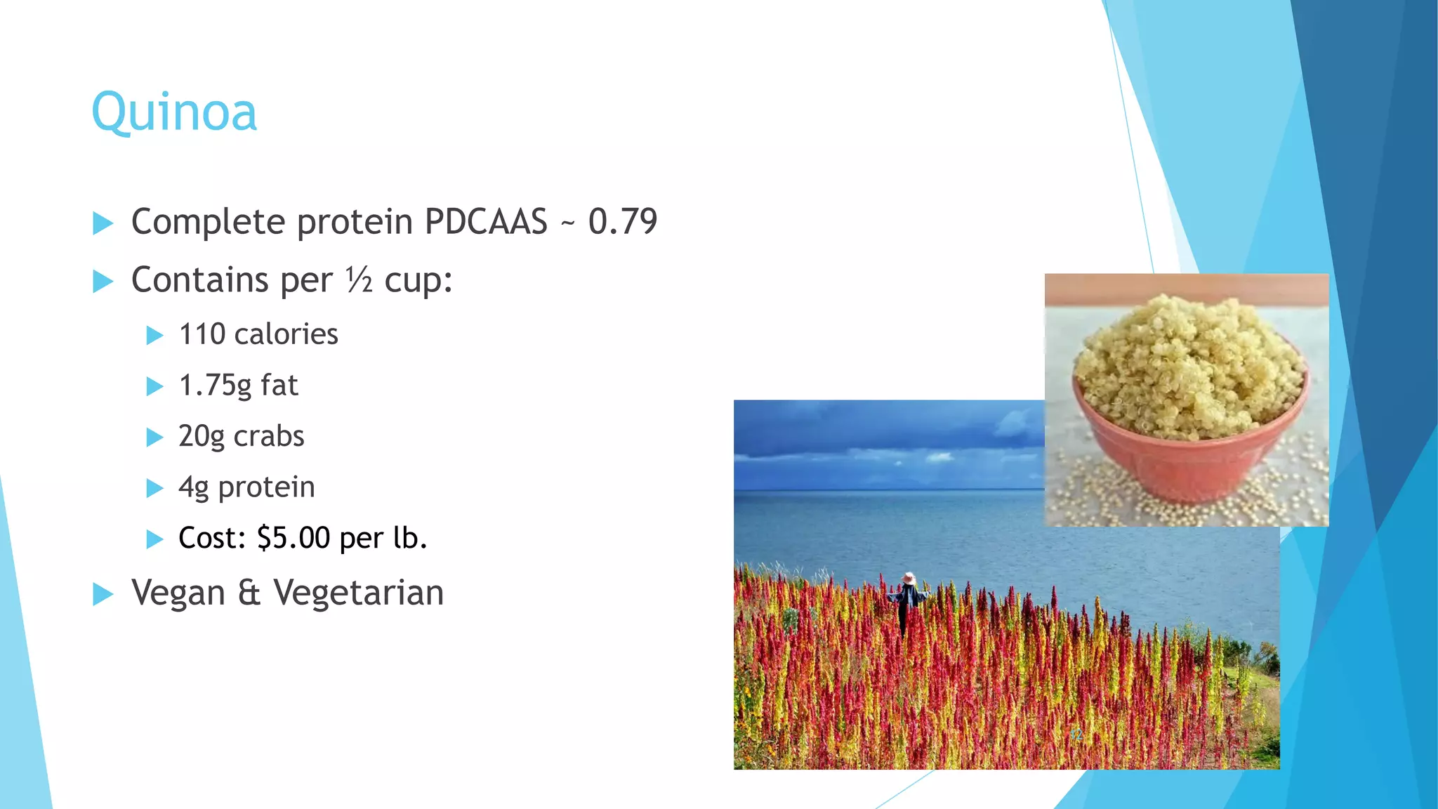 Alternative Protein Sources | PDF