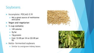 Alternative Protein Sources | PDF