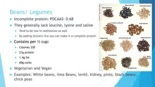 Alternative Protein Sources | PDF