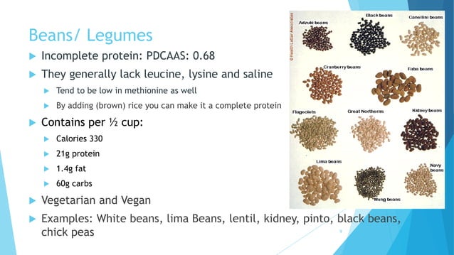 Alternative Protein Sources | PDF | Vegan Diets | Food & Drink