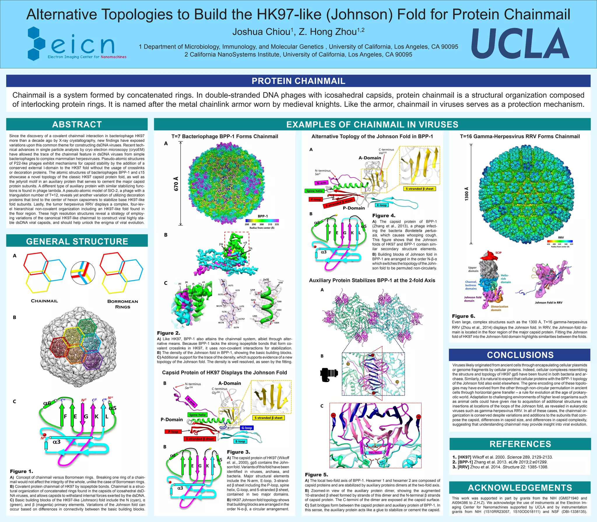 PhagePoster-HQ | PDF