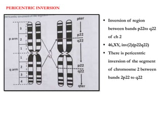Interpretation of Genetic formulae | PPTX