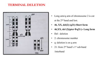 Interpretation of Genetic formulae | PPTX