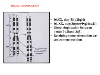 Interpretation of Genetic formulae | PPTX