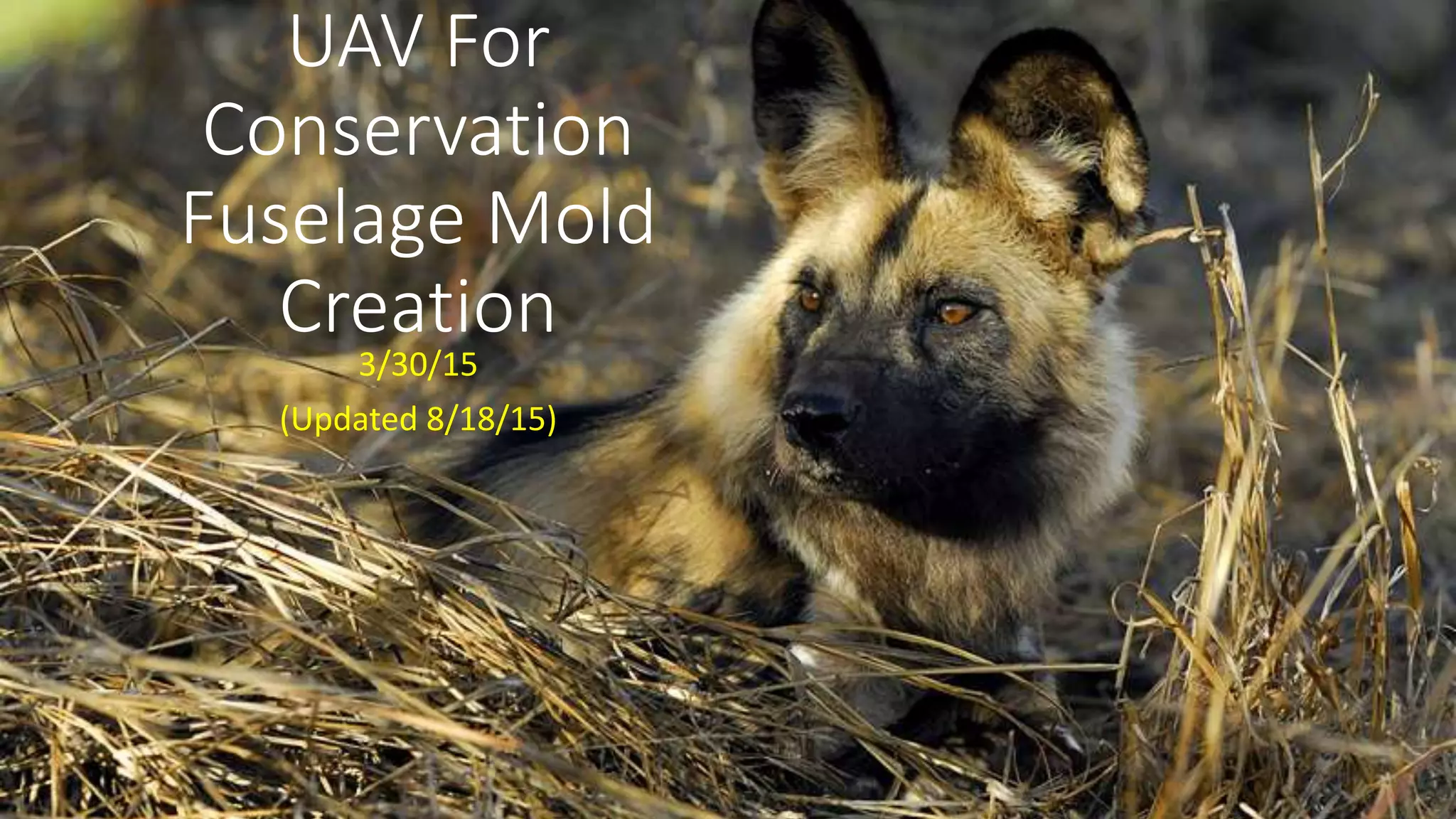 Mold and Fuselage Creation | PPTX