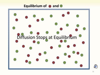 9 diffusion and osmosis (Lab) Thursday 9/19 | PPT