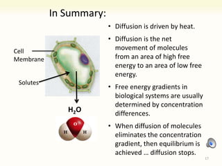 9 diffusion and osmosis (Lab) Thursday 9/19 | PPT