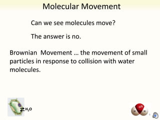 9 diffusion and osmosis (Lab) Thursday 9/19 | PPT
