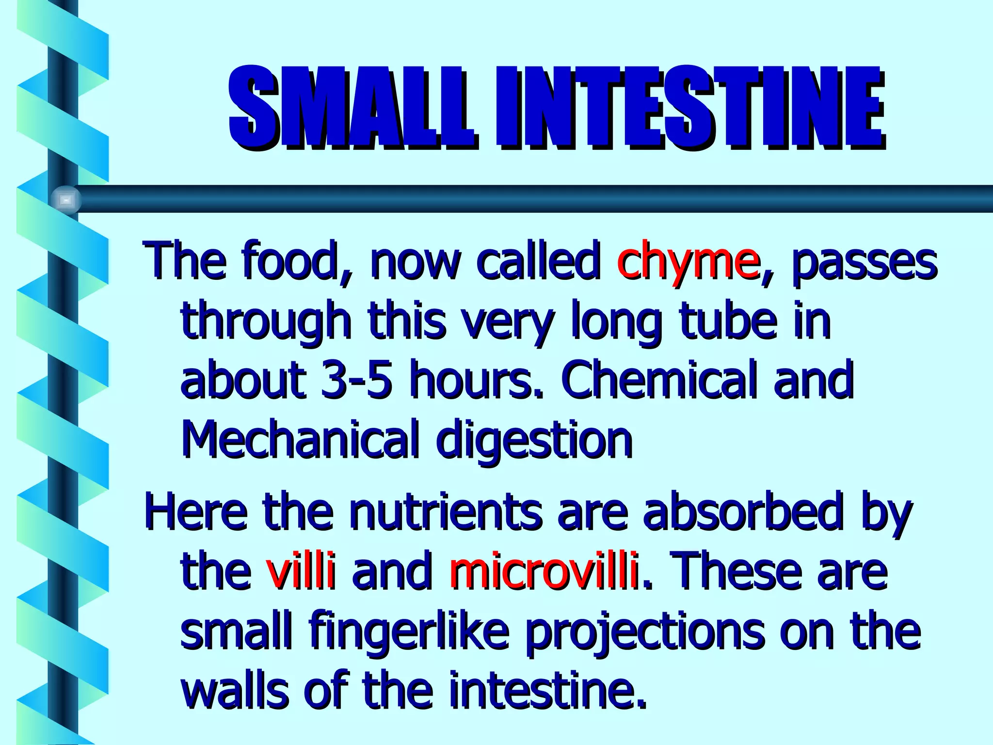 9 Digestive System | PPT