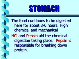 9 Digestive System | PPT