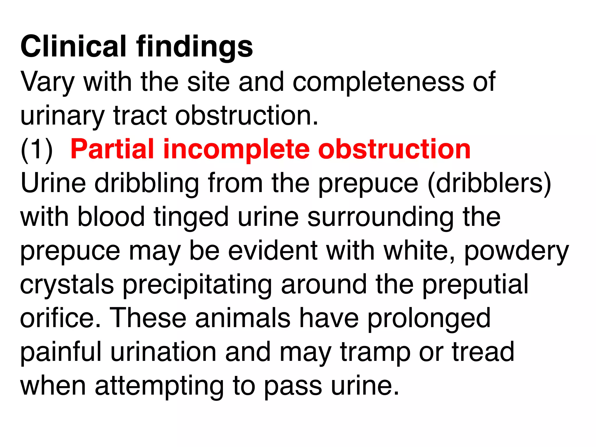 9 diseases of the bladder, ureters and urethra | PDF