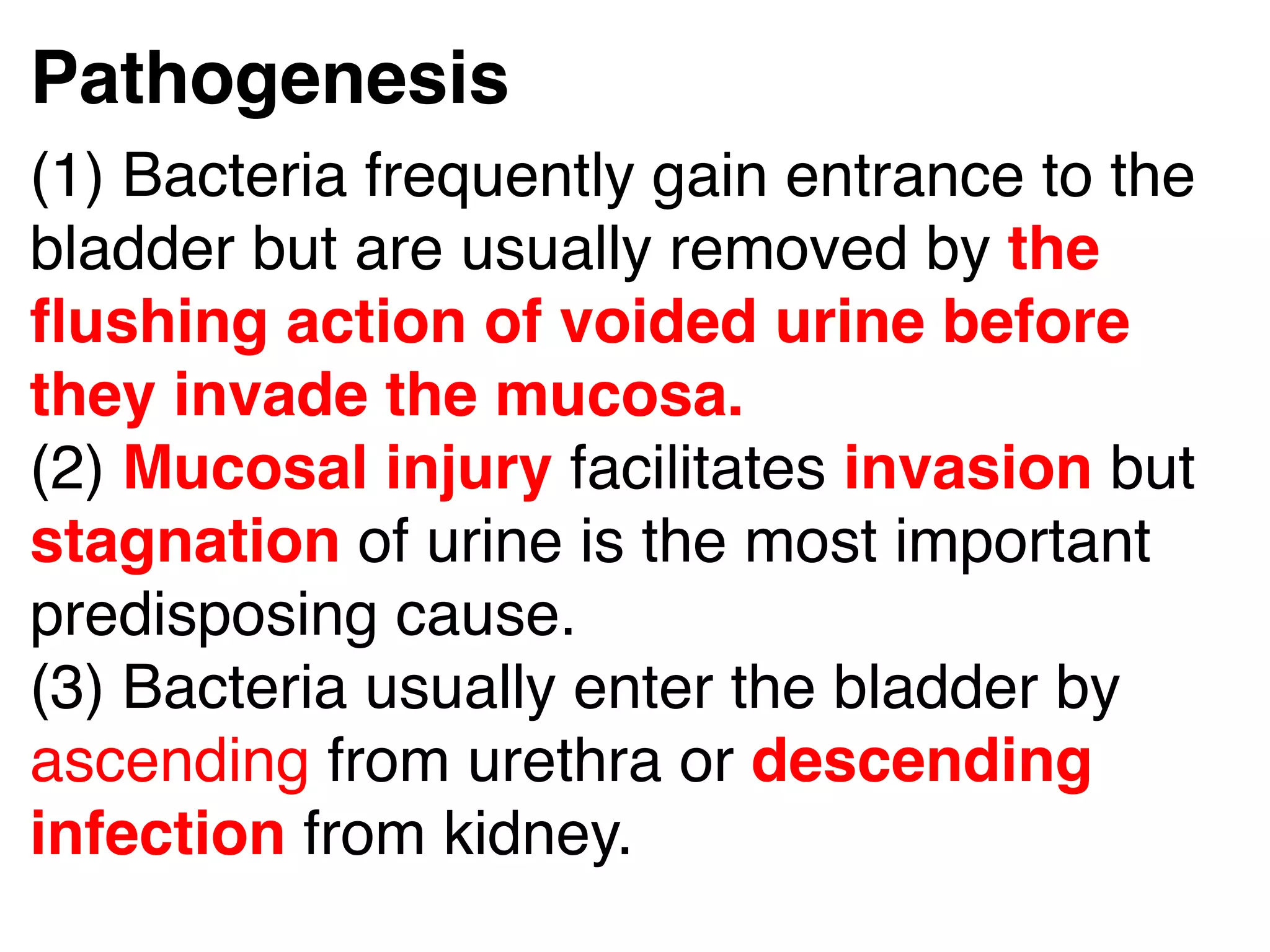 9 diseases of the bladder, ureters and urethra | PDF