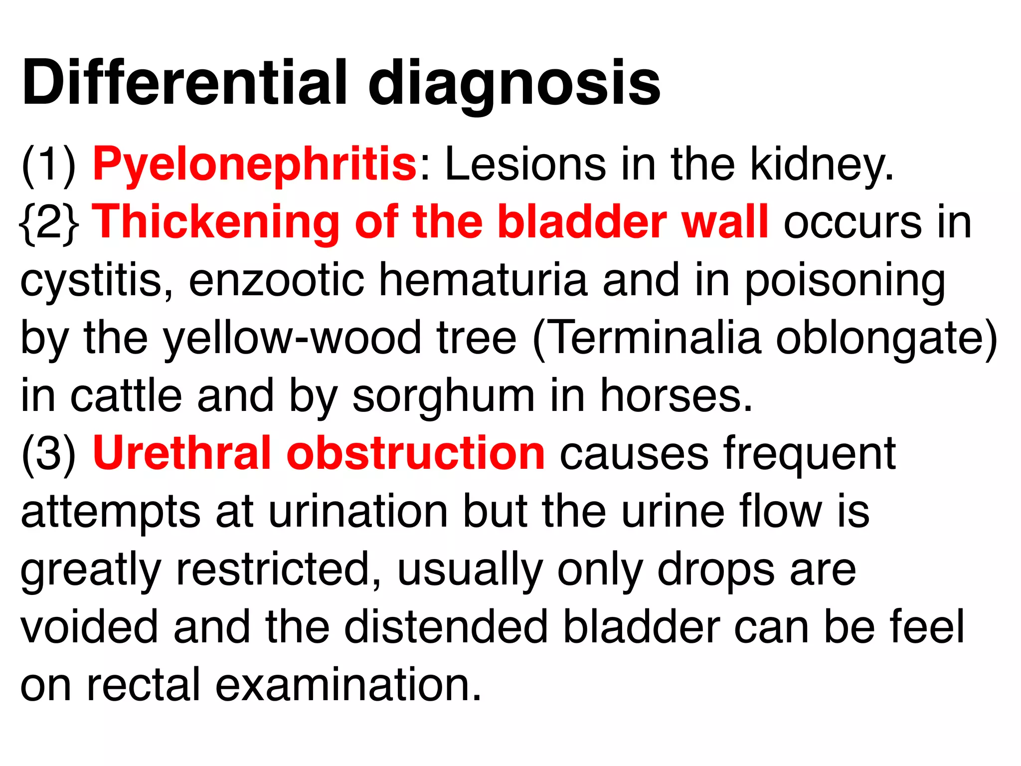 9 diseases of the bladder, ureters and urethra | PDF