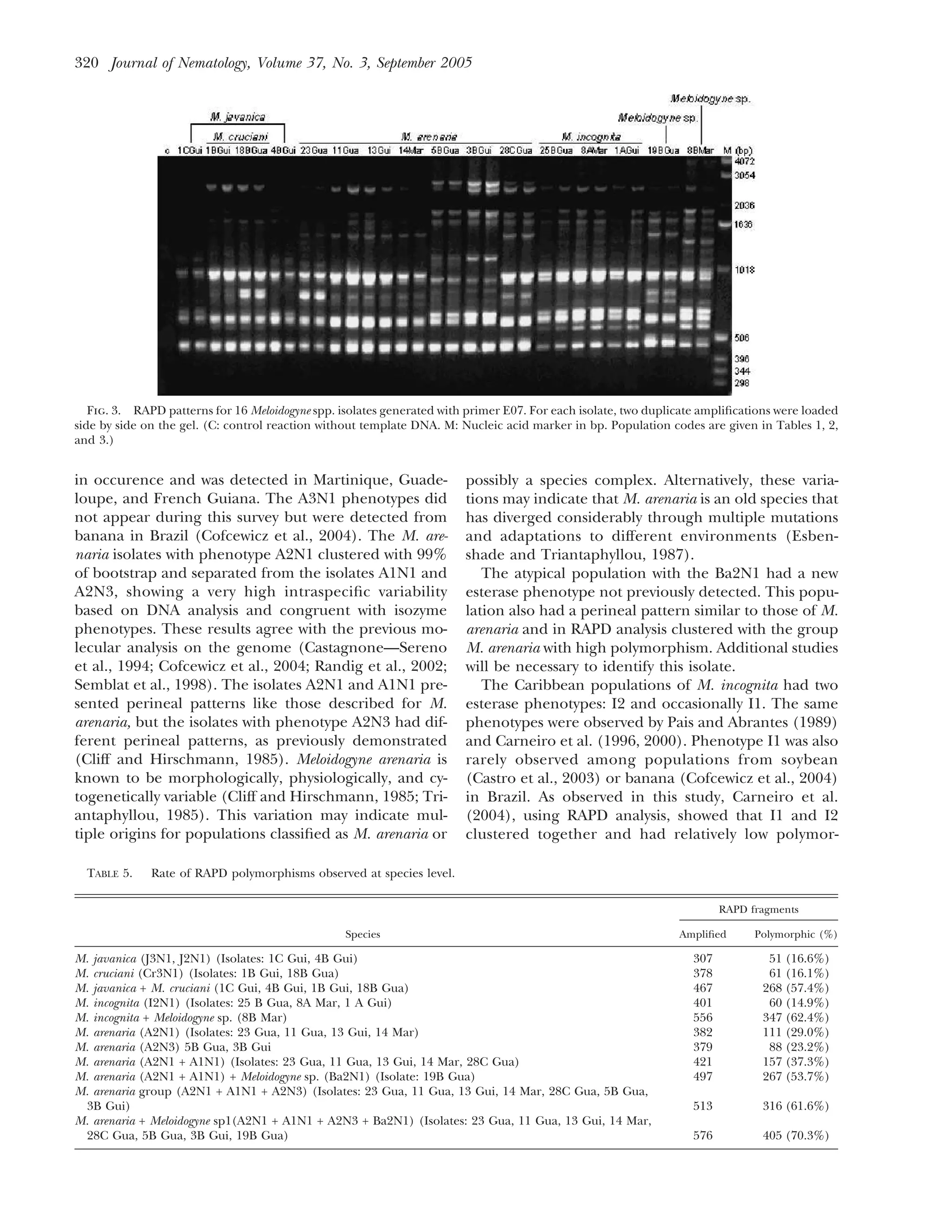 9 diversity of meloidogyne in martinique | PDF