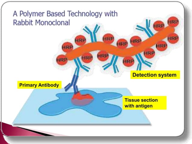 9_Dr Poonam Panjwani Basic principles of IHC.pptx
