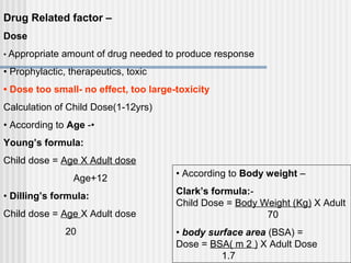Factors modifying drug actionsvpp | PPT