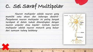 Sel saraf (neuron) | PPT