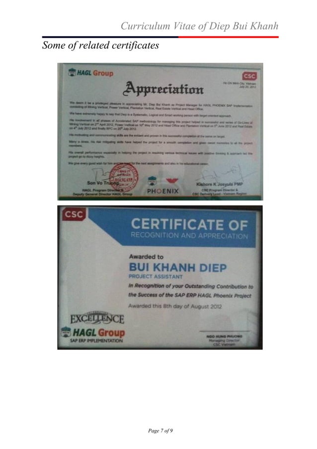 CV_Bui Khanh Diep [e]_v4 | PDF