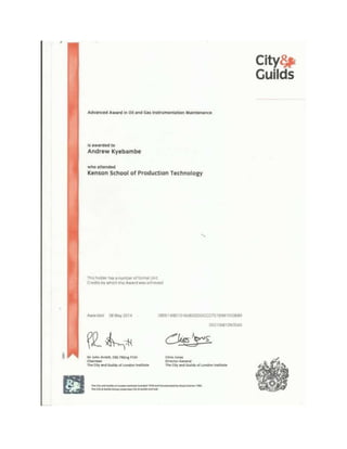 City And Guilds Certificate Template