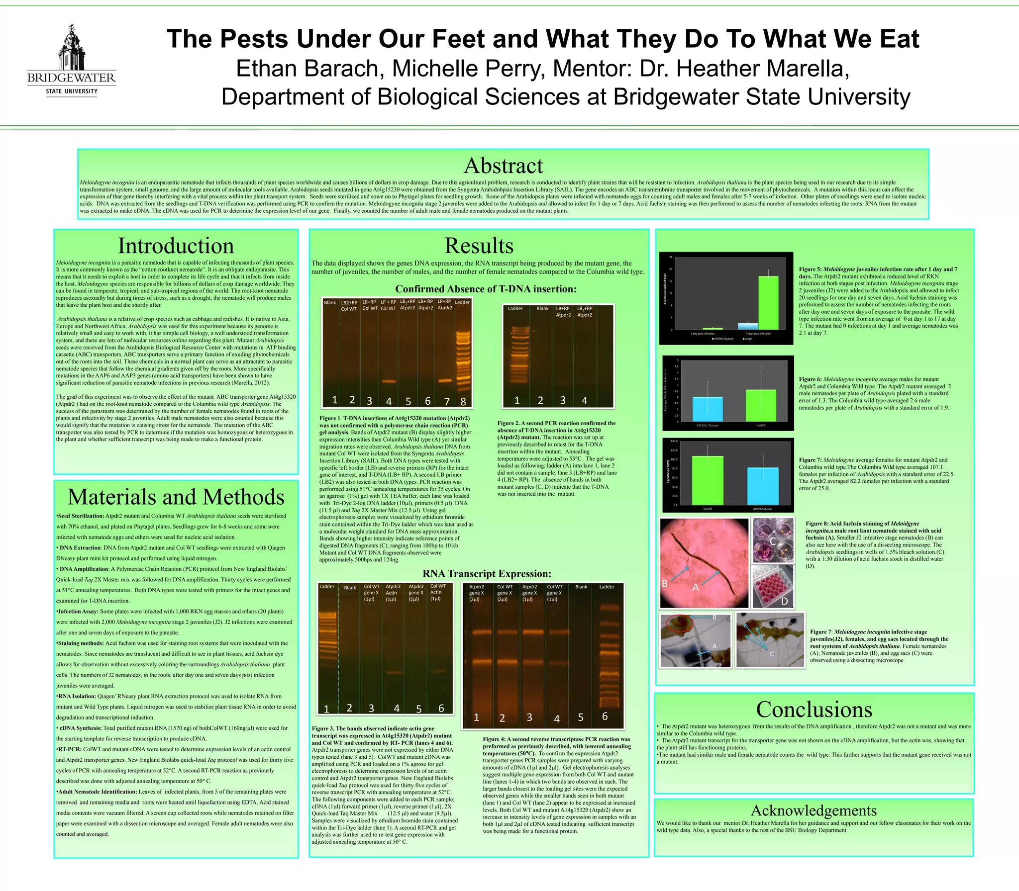 Parasitology Research Poster | PPTX