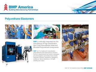 BMP Division Presentation 4-16-15 | PPT