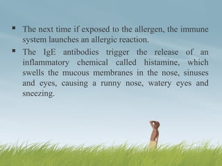 allergic rhinitis | PPT