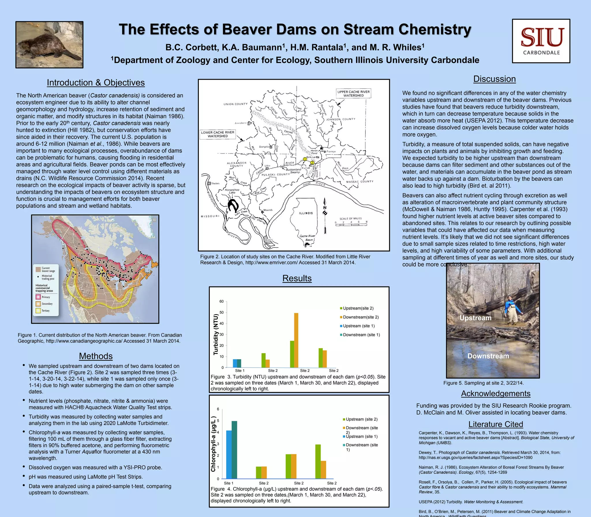 Effects of Beaver Dams on Stream Chemistry (2014)-mrw | PPTX