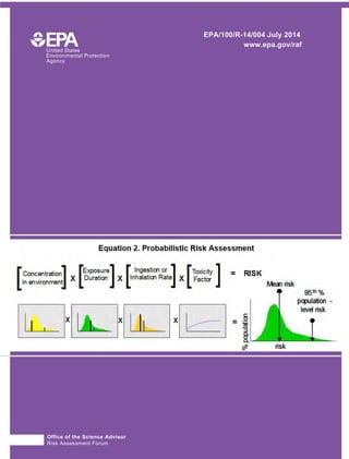 RAF PRA White Paper FINAL | PDF