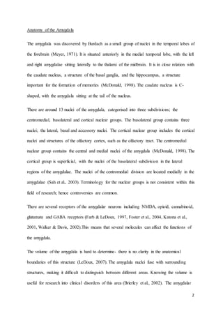 Anatomy of the amygdala | DOCX | Brain and Nervous System Disorders ...