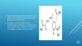 presentation Marine Institute | PPTX | Geography | Science