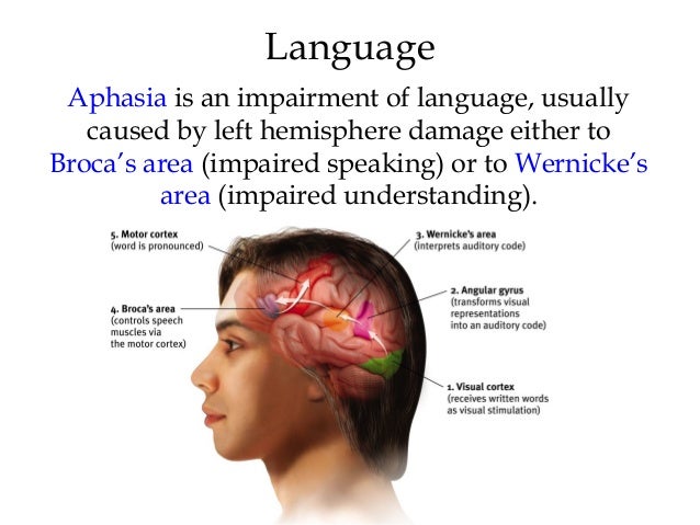 Aphasia Definition