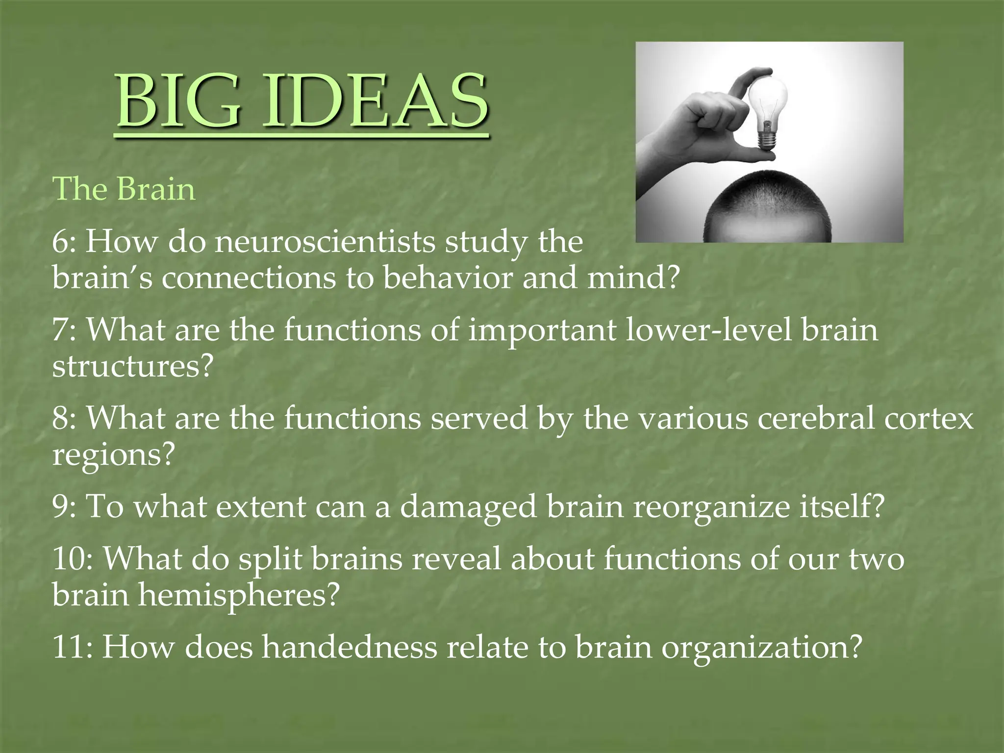 AP psychology Biological bases of behaviour | PDF