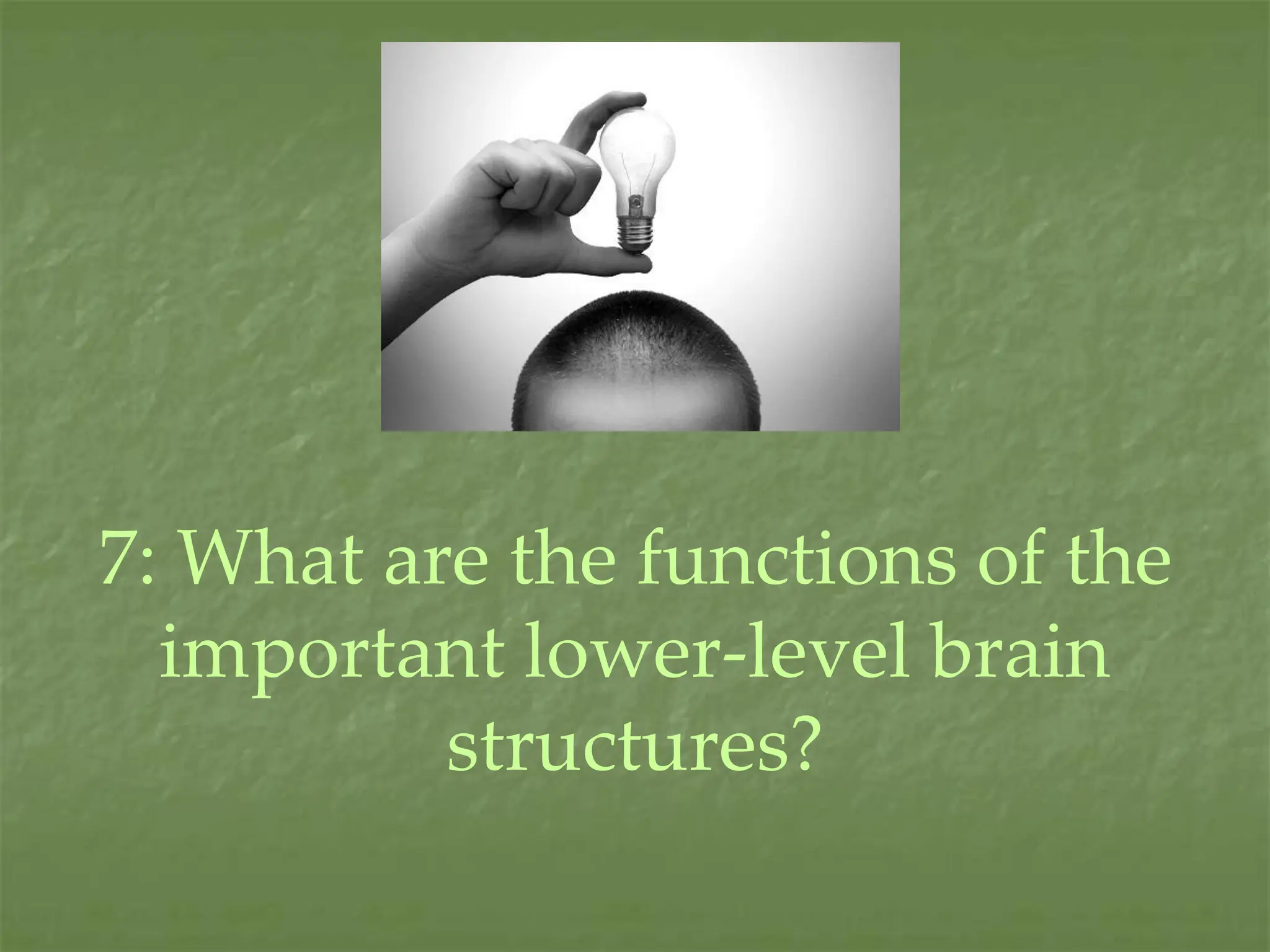 AP psychology Biological bases of behaviour | PPT