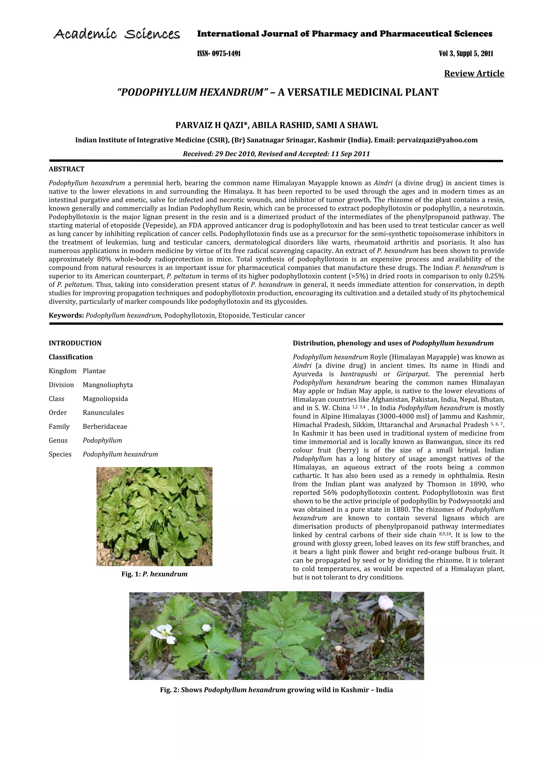 PODOPHYLLUM HEXANDRUM” | PDF