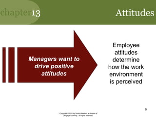 9e daft chapter_13_dynamics_of_behavior_in_organizations | PPT