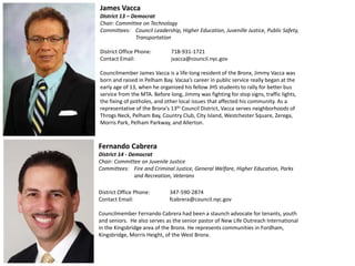 NY- Council Members | PPTX