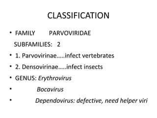 [Micro] parvovirus | PPT