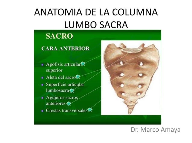 Kinesiologia de la columna lumbar | PPTX