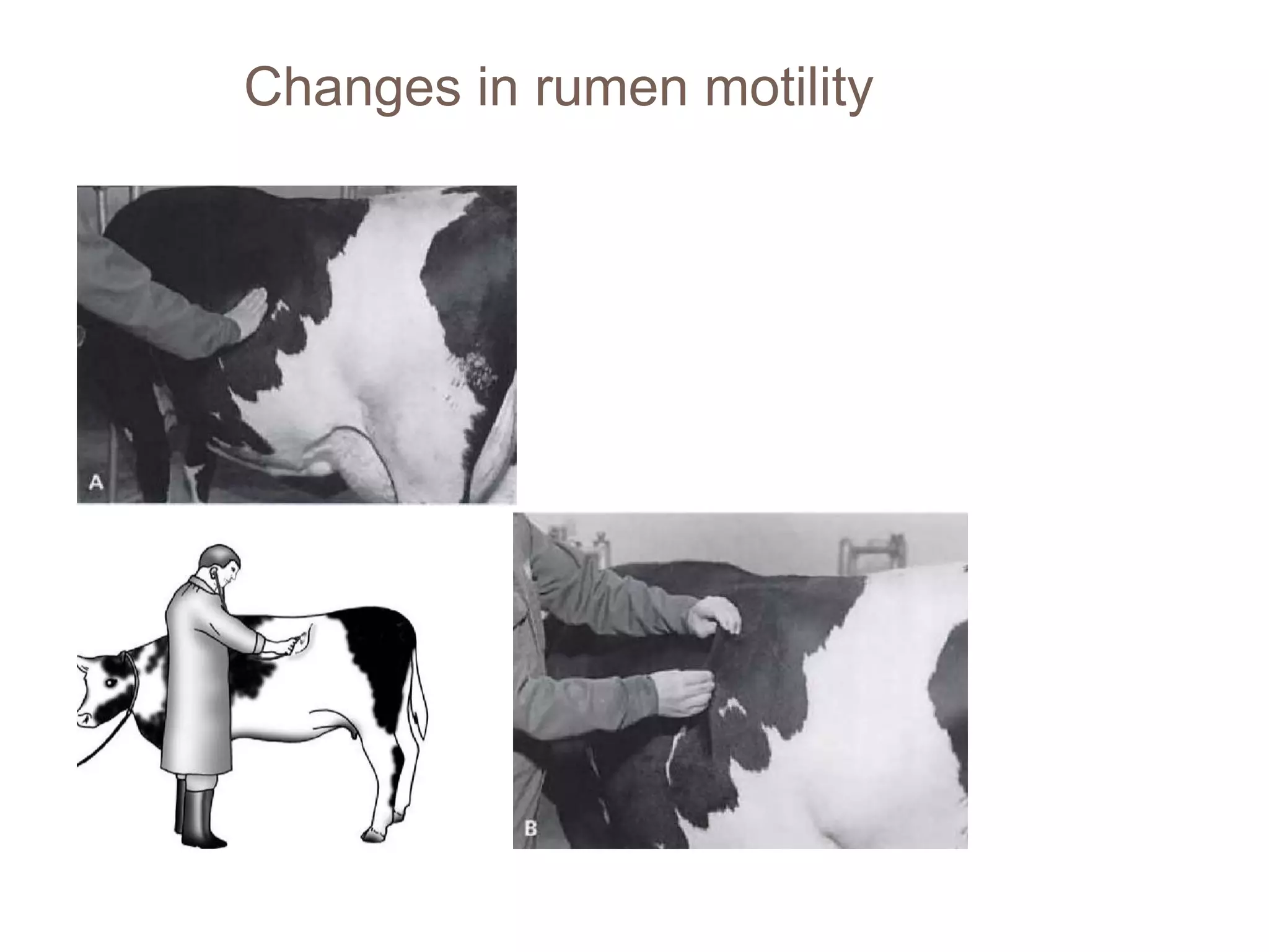 9 examination of digestive system | PDF