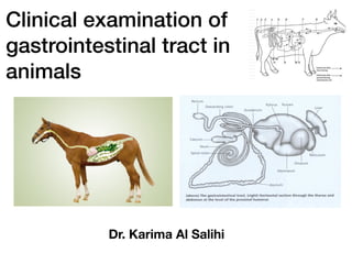 9 examination of digestive system | PDF