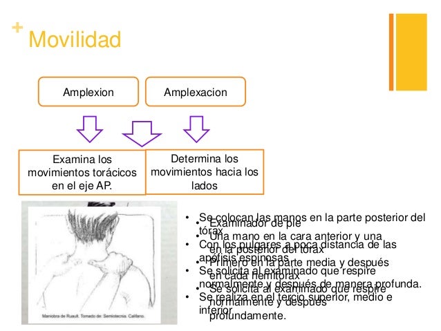 EXPLORACION DE TORAX